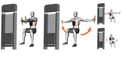 PECK BACK – PRO-FIT SPORT